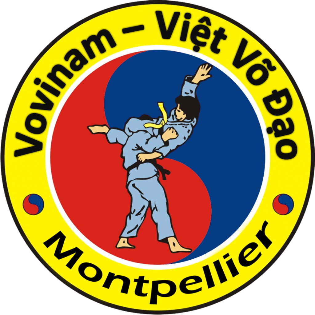 Le Vovinam Viet Vo Dao : qu'est-ce que c'est