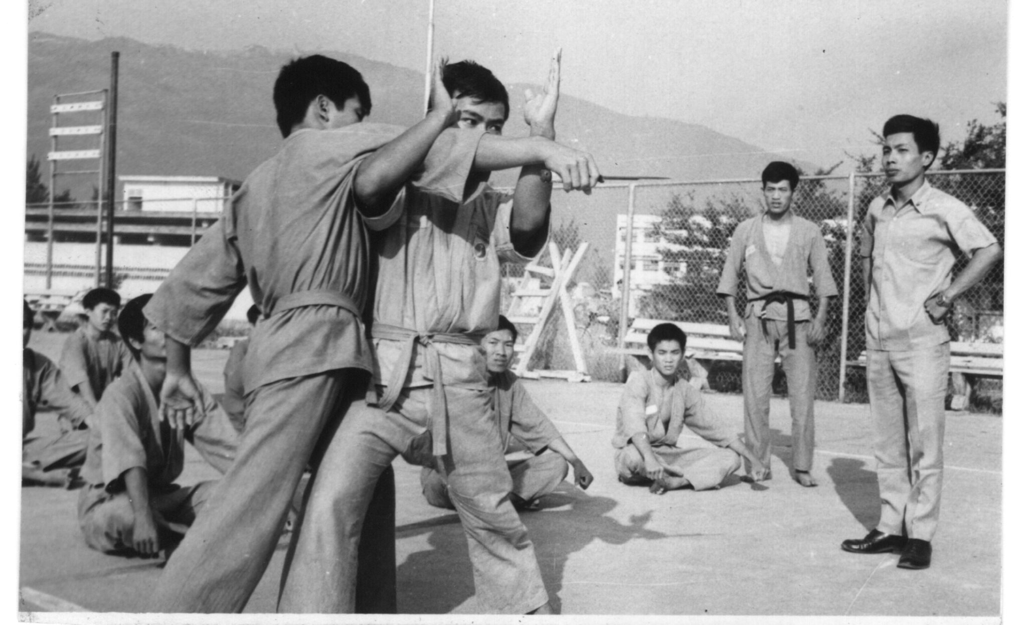 Le Vovinam Viet Vo Dao : qu'est-ce que c'est
